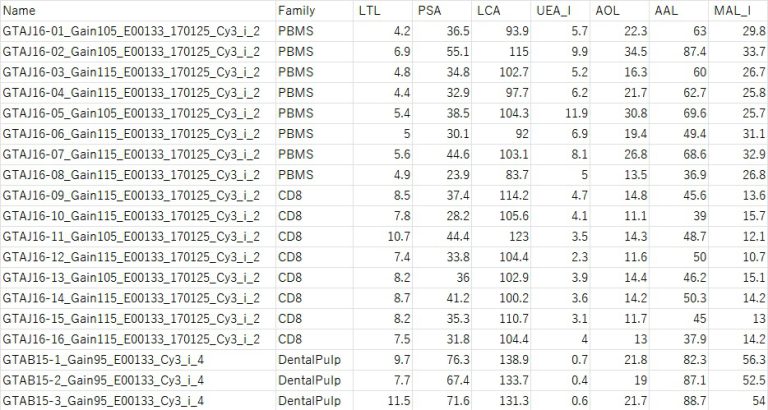 Environment construction and Python script examples for performing ...